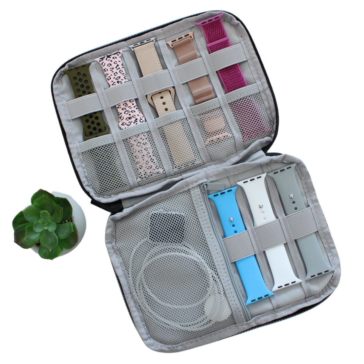 Watch Band Storage Case – Salty USA